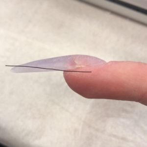 Why the arch is integral to a well balanced nail enhancement – Scratch